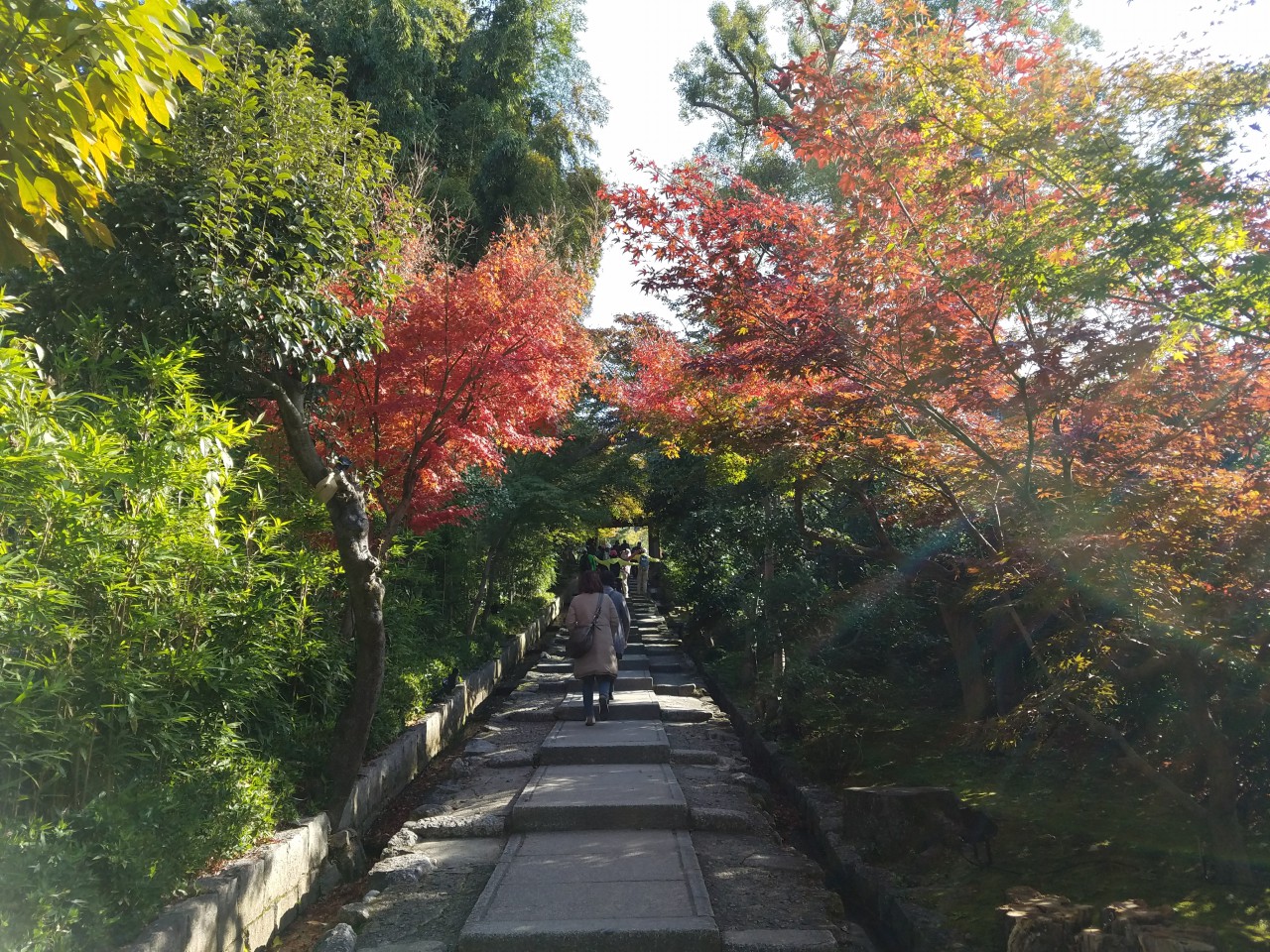 Sekai Ichi: Japan Travel Blog: Kodai-ji