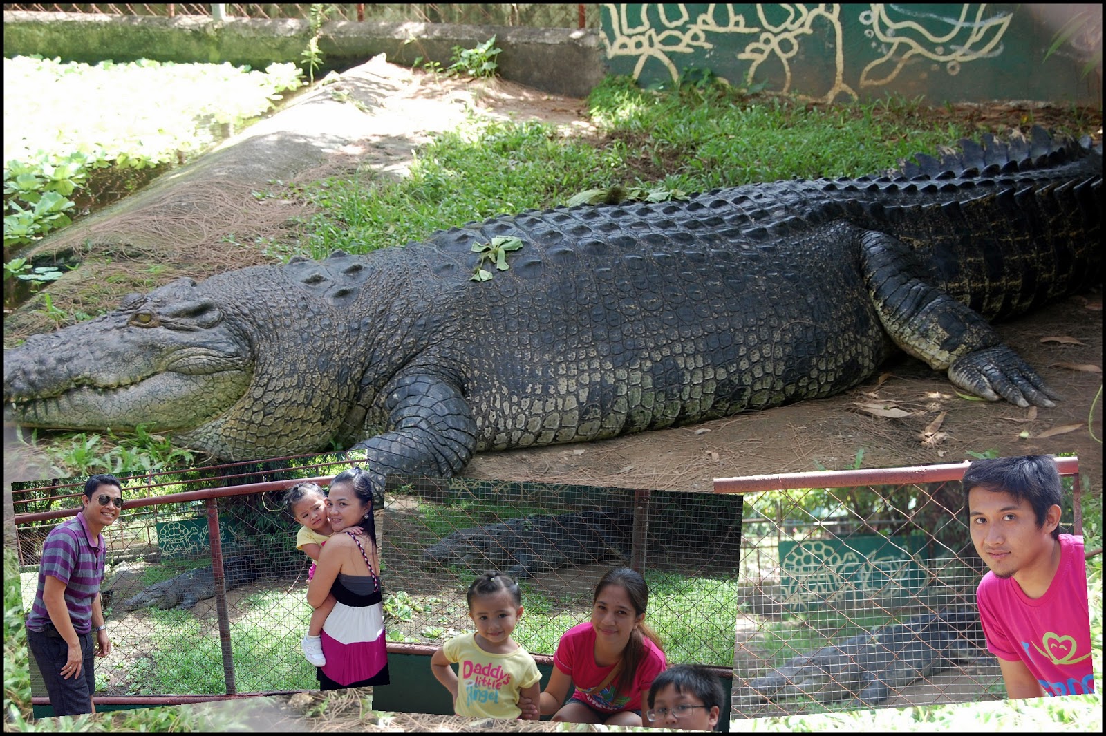 Party of Three: Crocolandia