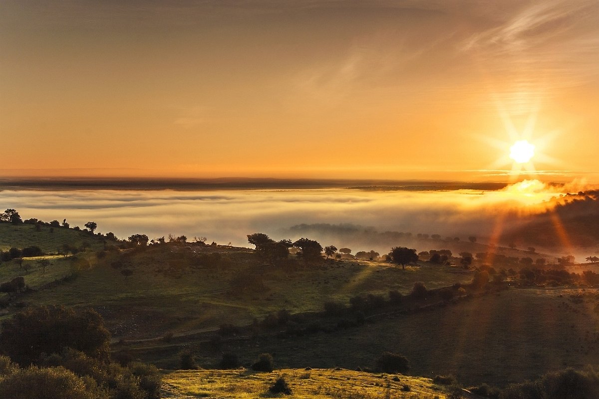 Que Horas O Nascer Do Sol - FDPLEARN