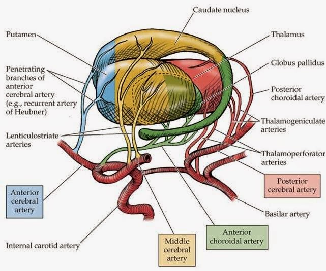 Ten Things That I Learned Today