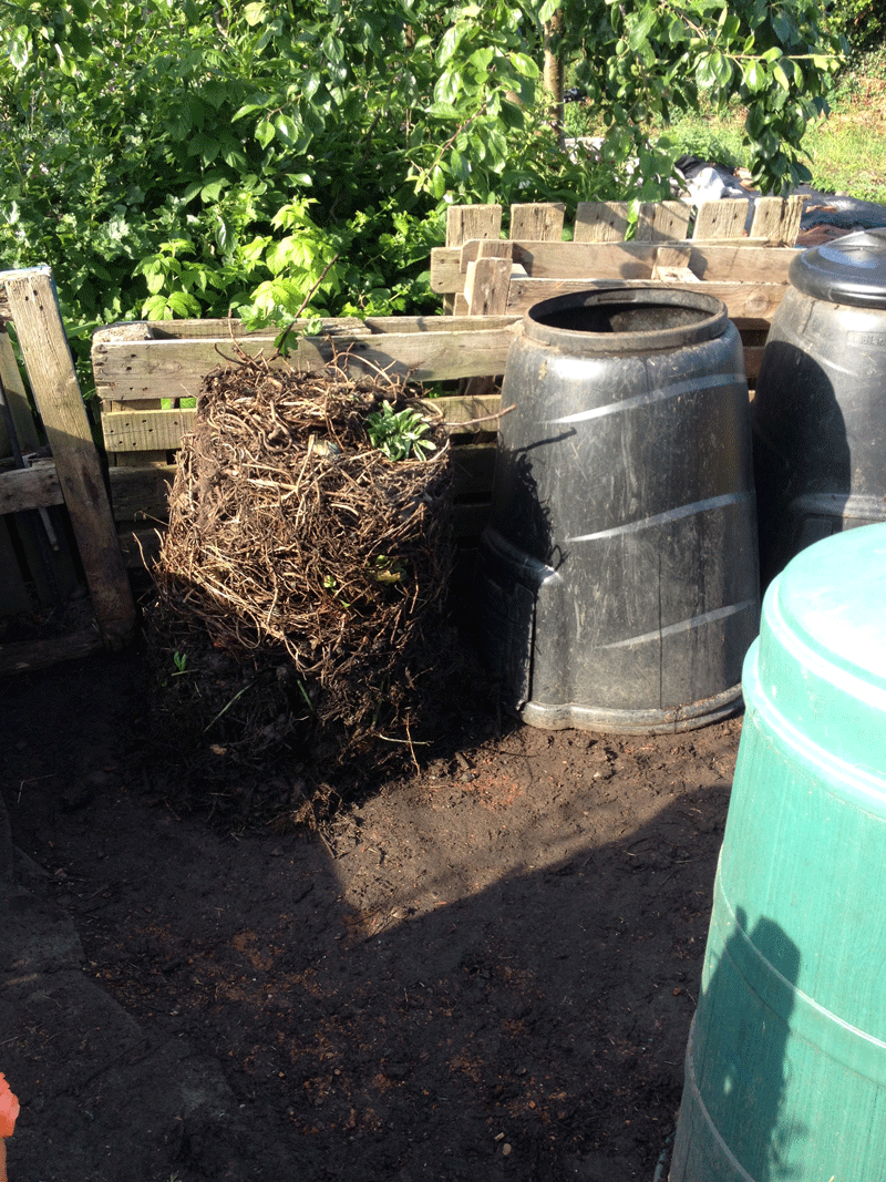 Allotment Garden: Composting 2