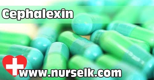 Cephalexin | Nurselk.com