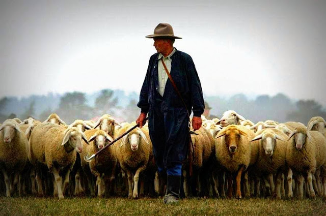 Oséias 4-6: Cinco Mudanças Indispensáveis para seu Ministério Pastoral