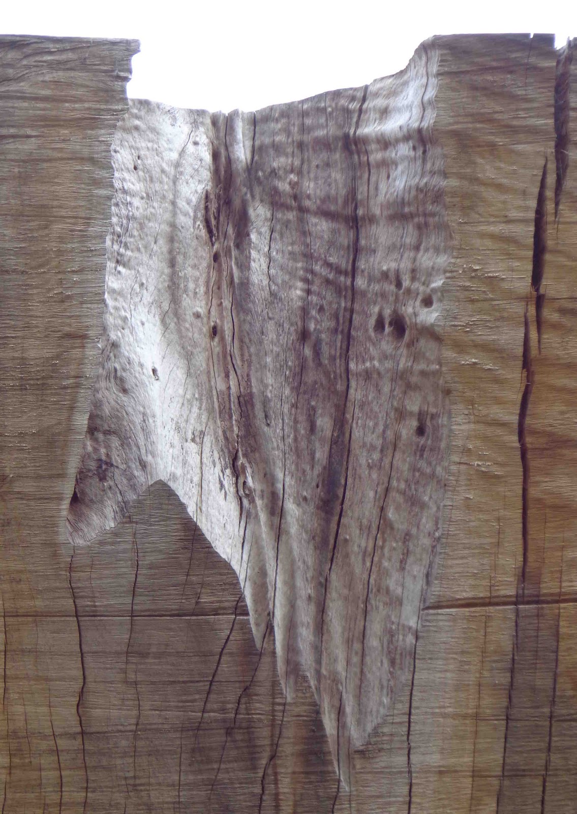 Hippystitch: Kew Gardens - David Nash