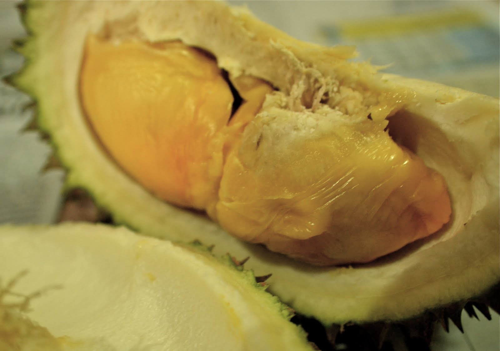 PERKASA HOMESTAY, SEGAMAT: Jom Makan Durian Segamat!
