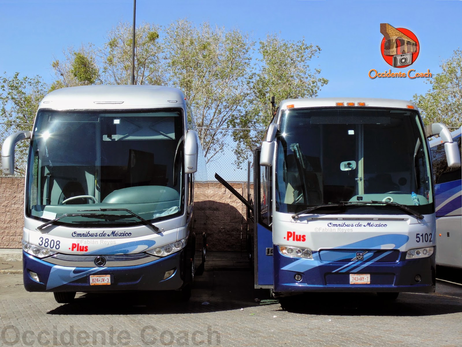 Occidente Coach: OdM Plus