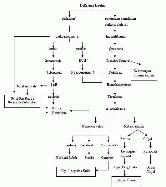 KMB III 2c: Tugas 3. LP Diabetes Mellitus