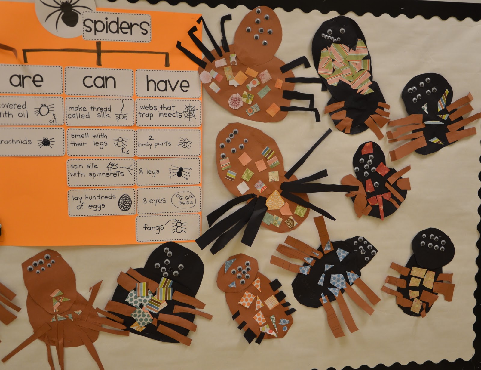 A Place Called Kindergarten: spider research