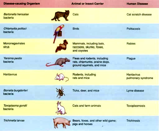 Diseases: List Of Diseases