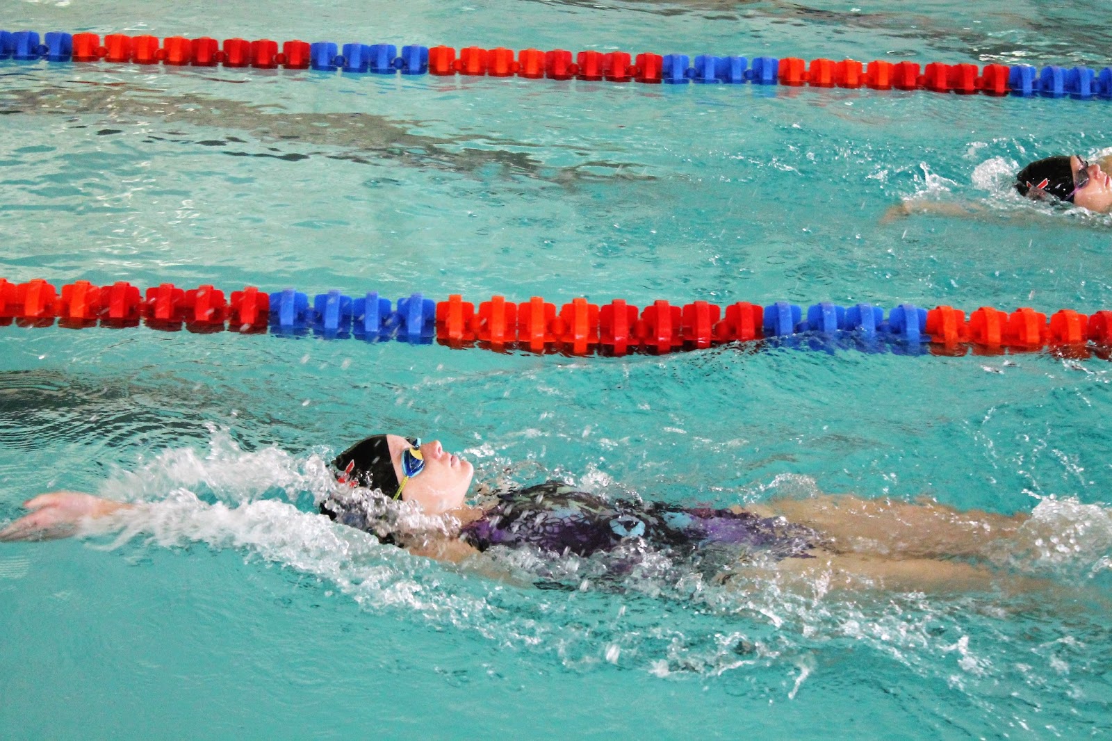 Appleton West-Kimberly Swim and Dive: 2017