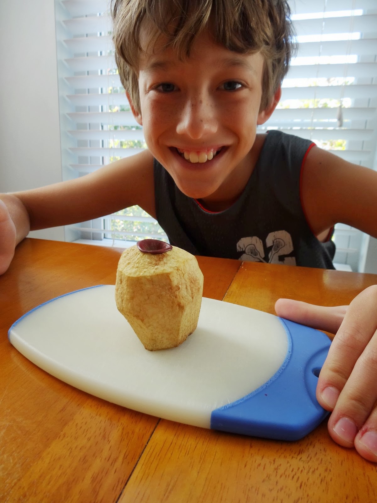 Ramblings of a Homeschool Mom: Mummification of an Apple