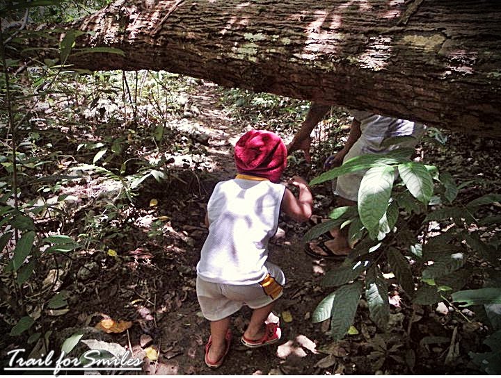 Argao Balay sa Agta Cave and Bugasok Falls