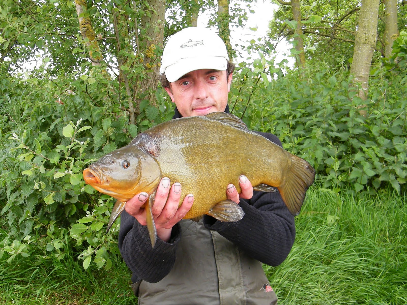 Joe Chatterton's Angling Diary: Tench