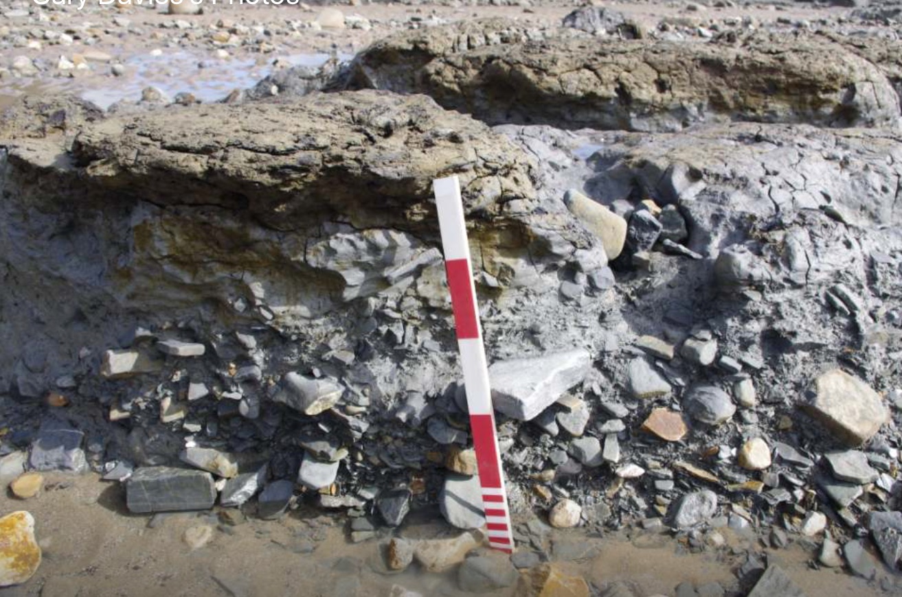 Stonehenge and the Ice Age: The submerged forest at Amroth