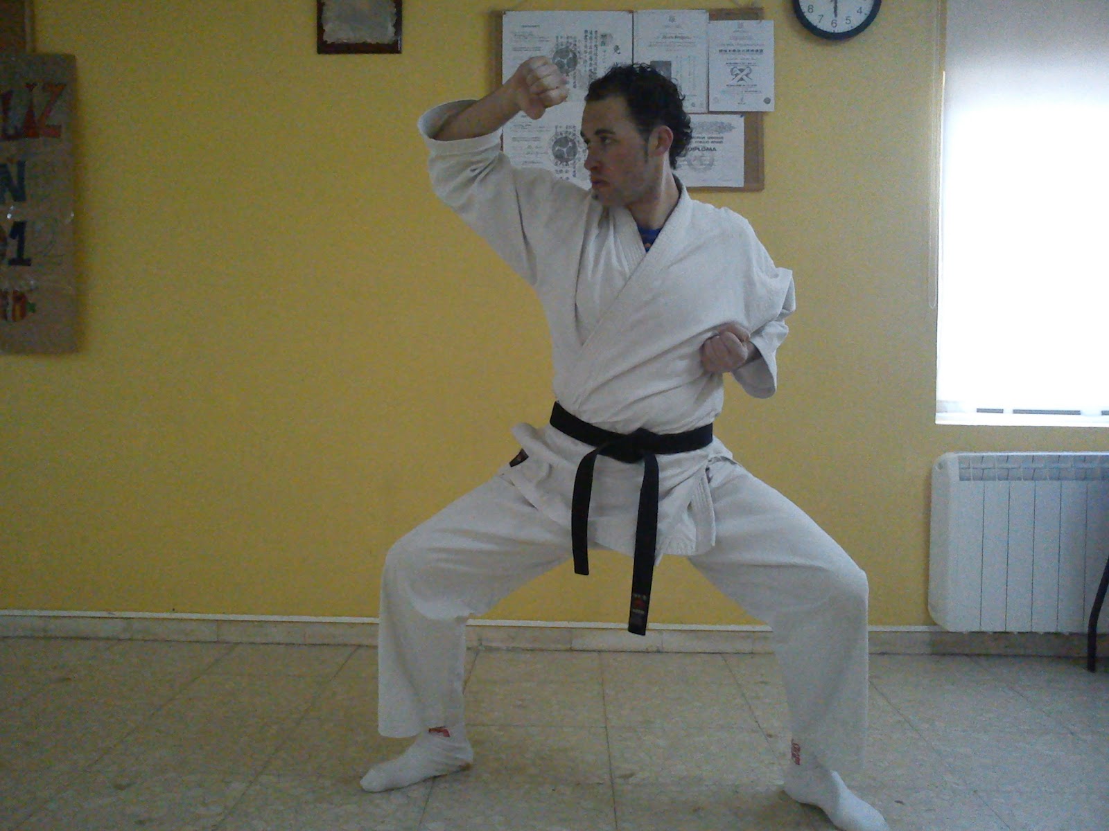 Alvaro Rodriguez Arias: Posturas de karate