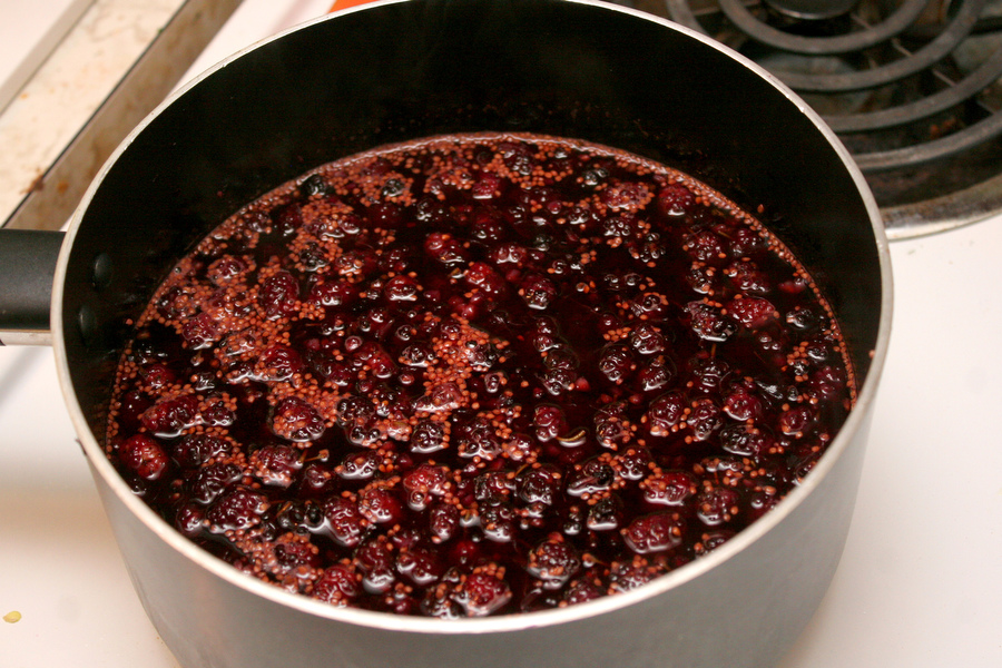 Downtown Dish: From Tree to Table: Mulberry Merlot Sorbet