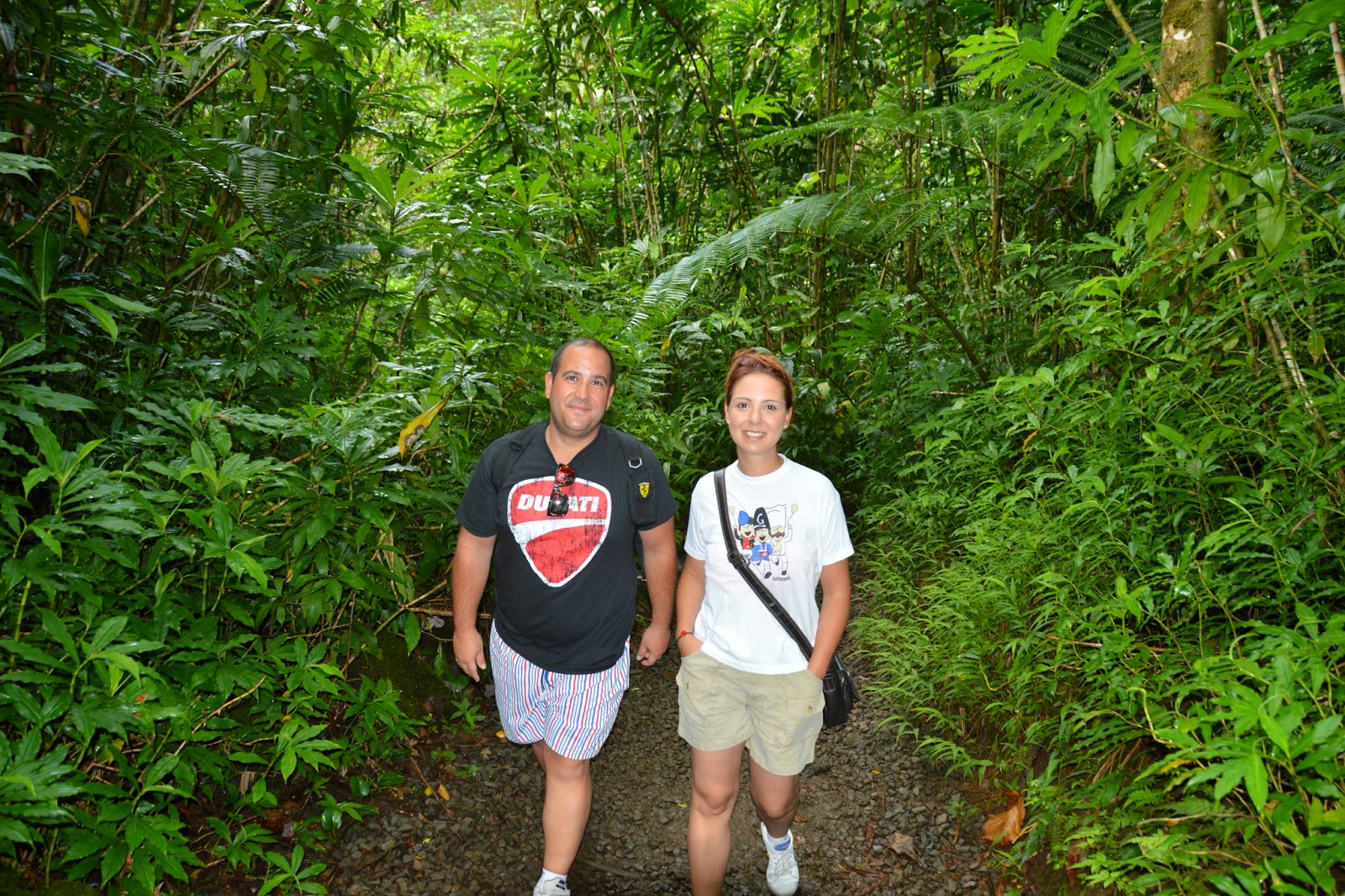 Oahu Photos: Manoa Falls