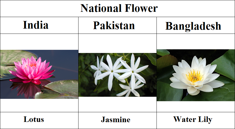 Mazher مظهر: National Symbols of India, Pakistan and Bangladesh