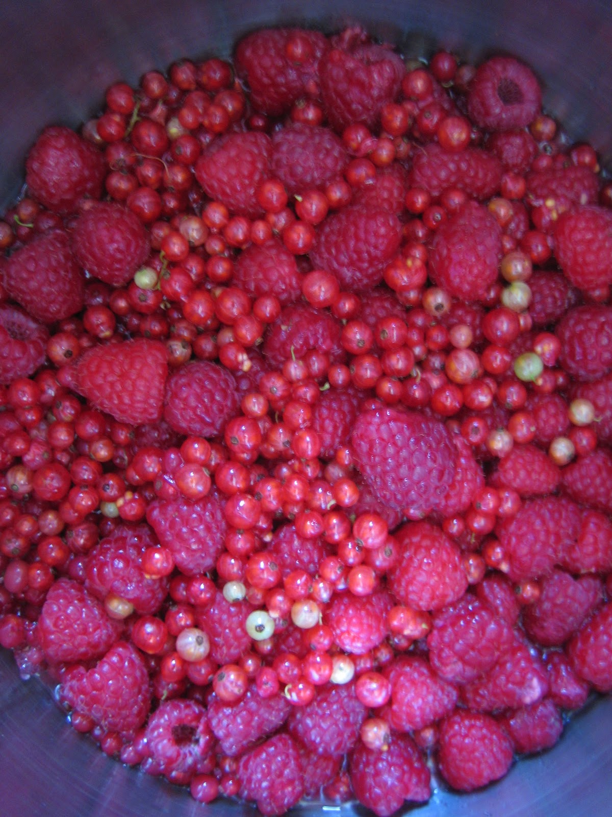 Streetcomber: Raspberry and redcurrant cordial