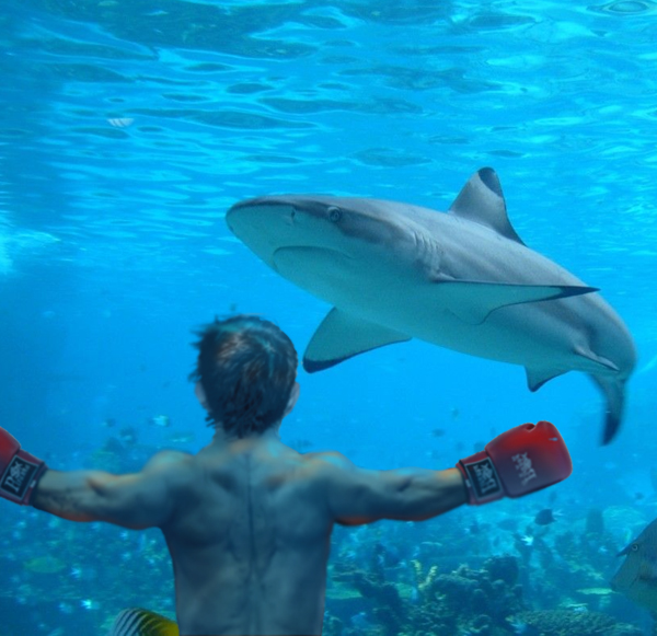 The Adventures of Gill McFinn: Off the Grid and Back Again