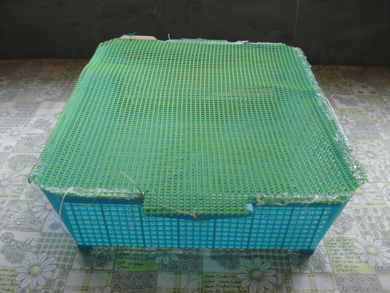 Super Worm Friends of Alain Ray: Breeding Superworms - Containerized ...