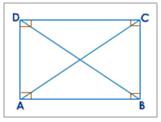 World of Quadrilaterals: Teacher presentation
