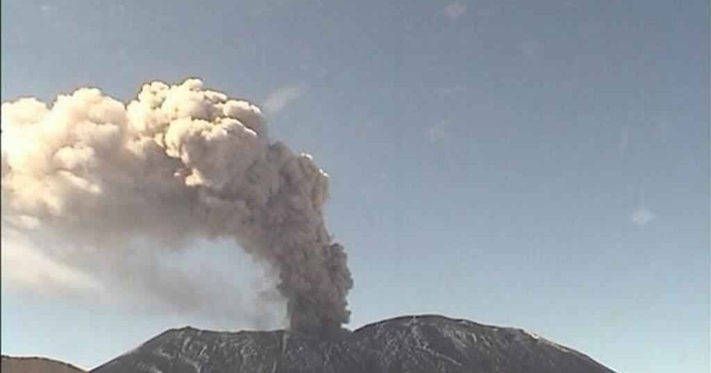 Pappochelys Rosinae Proto Turtle From