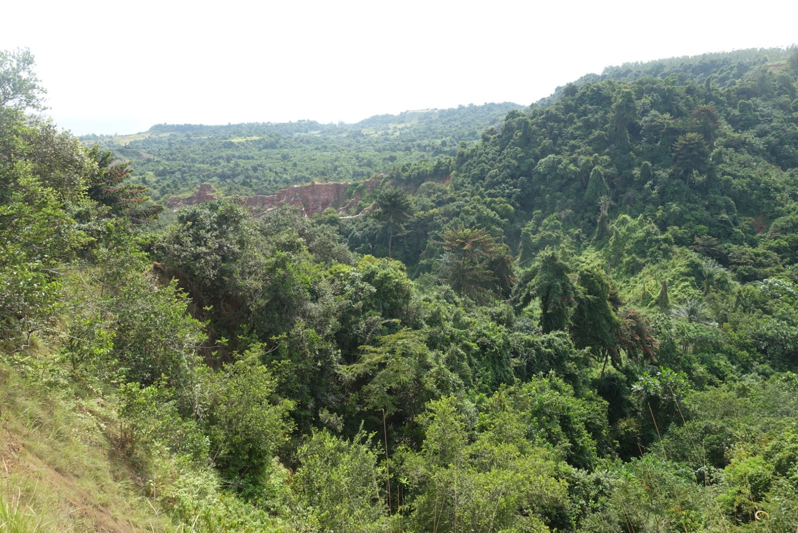 Alli's Excellent Adventures!: Dolisie to Matombi Beach, Republic of ...