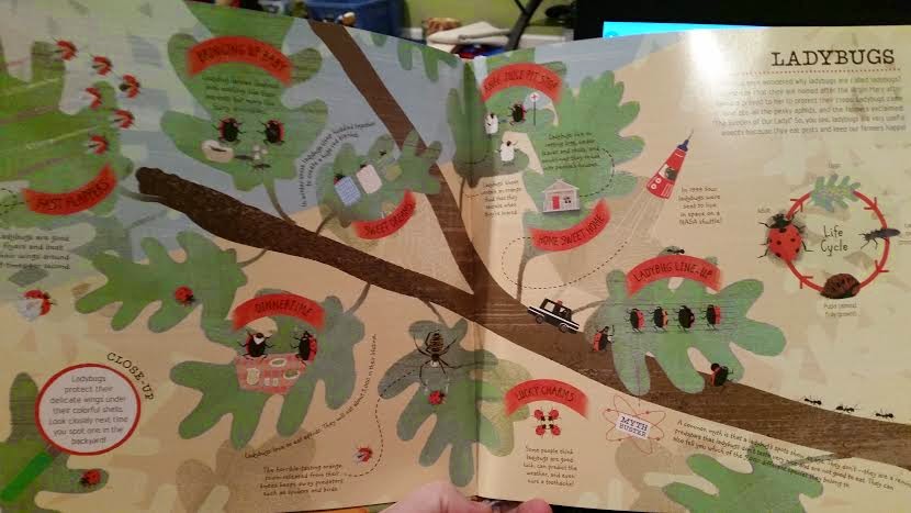 Bug Detective by Maggie Li