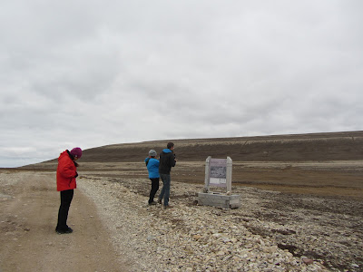 run, gloria, run!: climbing mount pelly