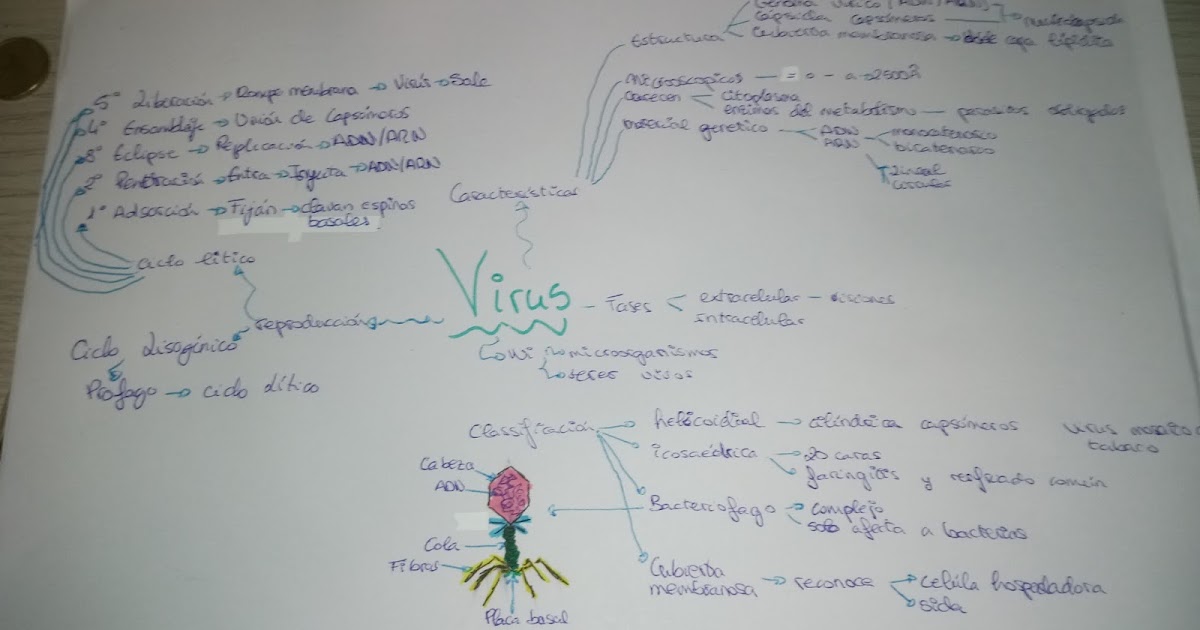 Como aprender Biología de manera más fácil : Tema 16: Los virus