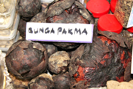 By Madem Ann: Bunga Pakma by AnnFahmy Sungai Petani Kedah Malaysia