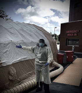 California Dreamin' Squirrel: The Final Countdown - Day 4 of 5