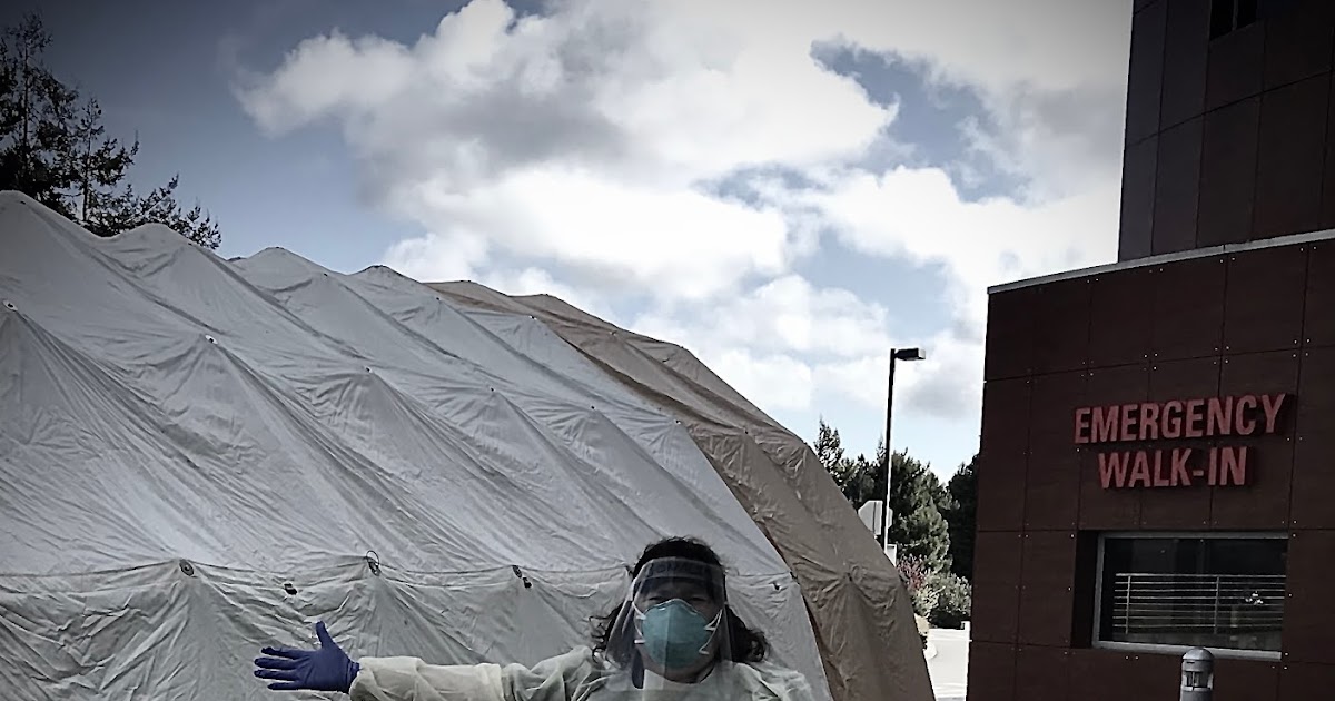 California Dreamin' Squirrel: The Final Countdown - Day 4 of 5