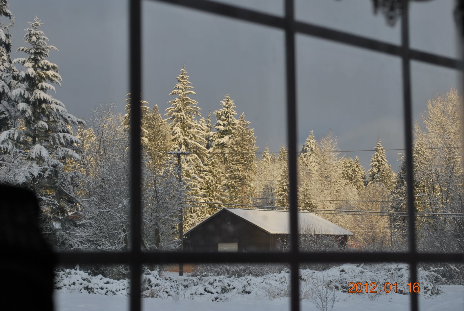 Mommamea's Favorite Things: A winter wonderland outside my window.