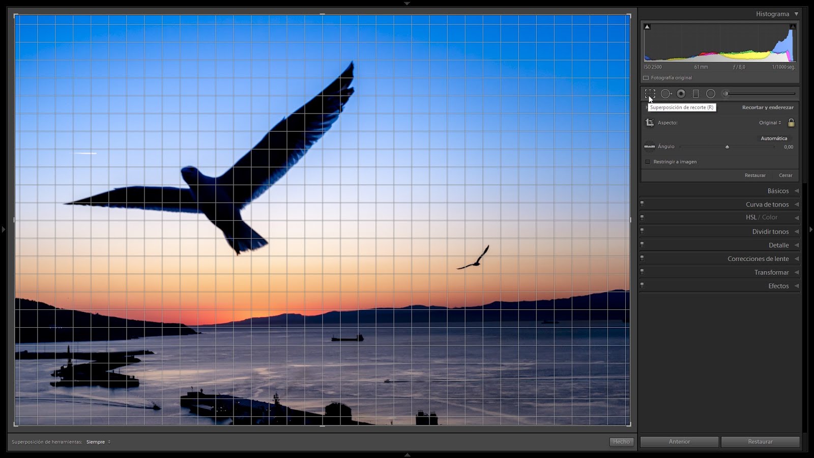 Recortar fotos - para qué vale y cómo se hace - Fotolarios