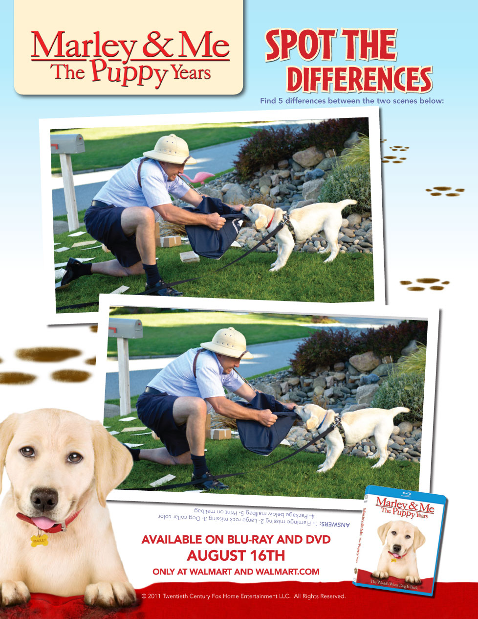 Marley & Me: The Puppy Years Printable Activity Sheets, Puzzles and ...