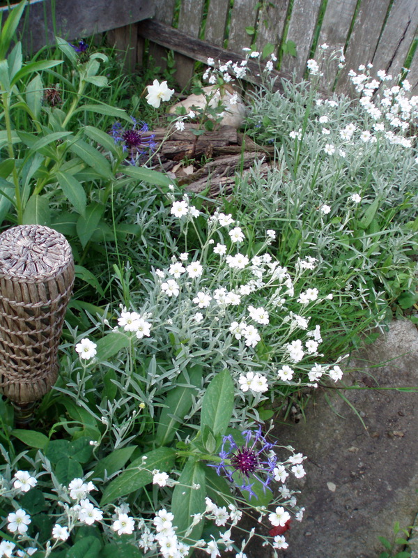 Blogul Simonei: Spectacol