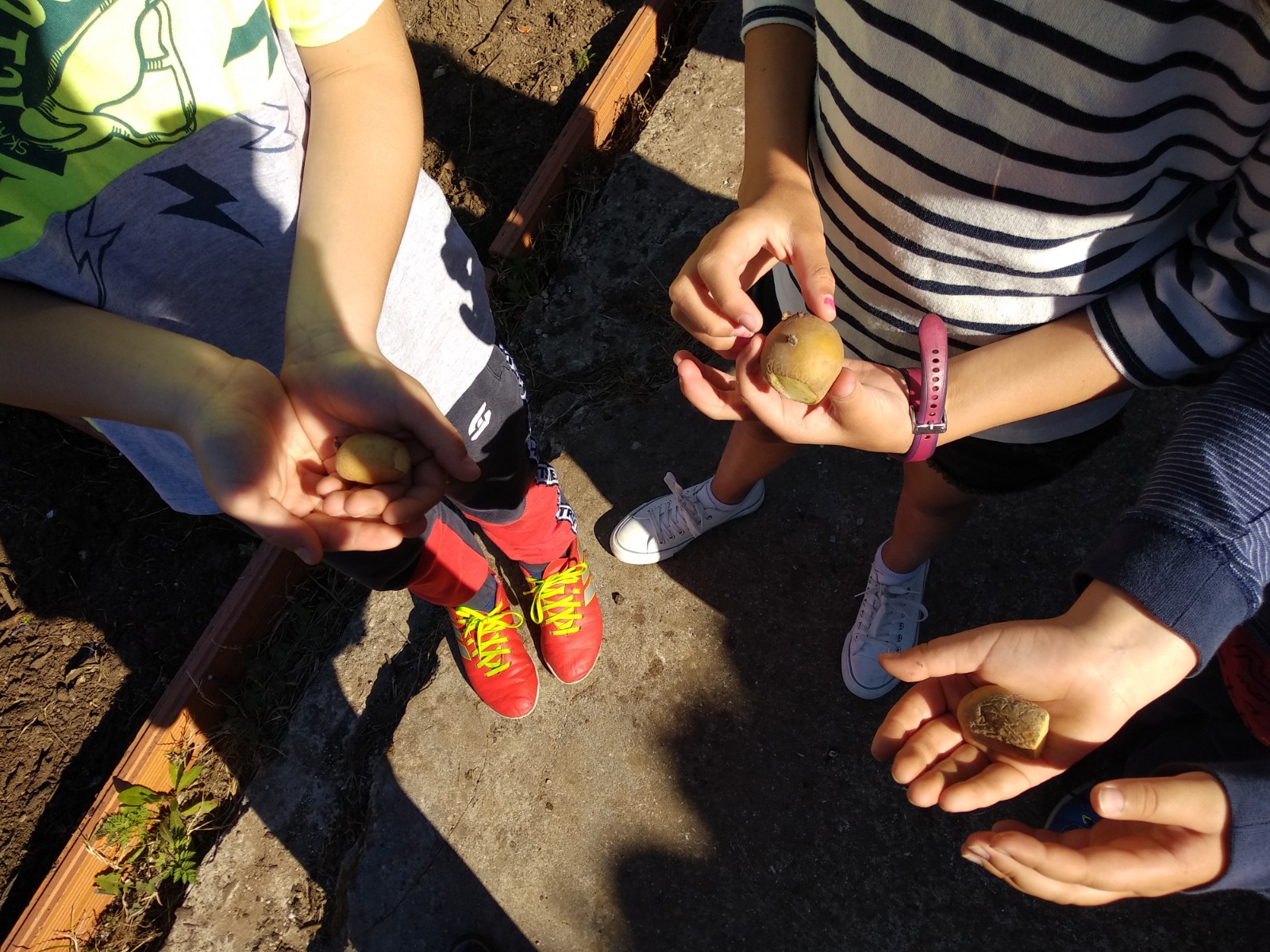 QUE SI PATATÍN QUE SI PATATÁN