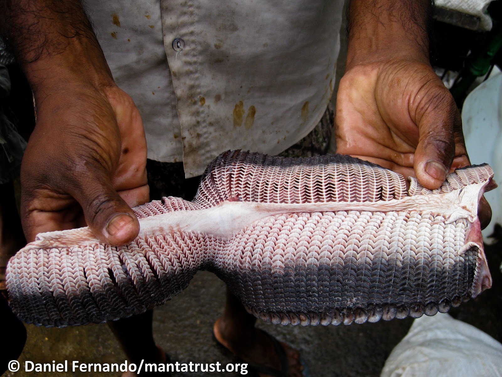 Global Explorers Blog