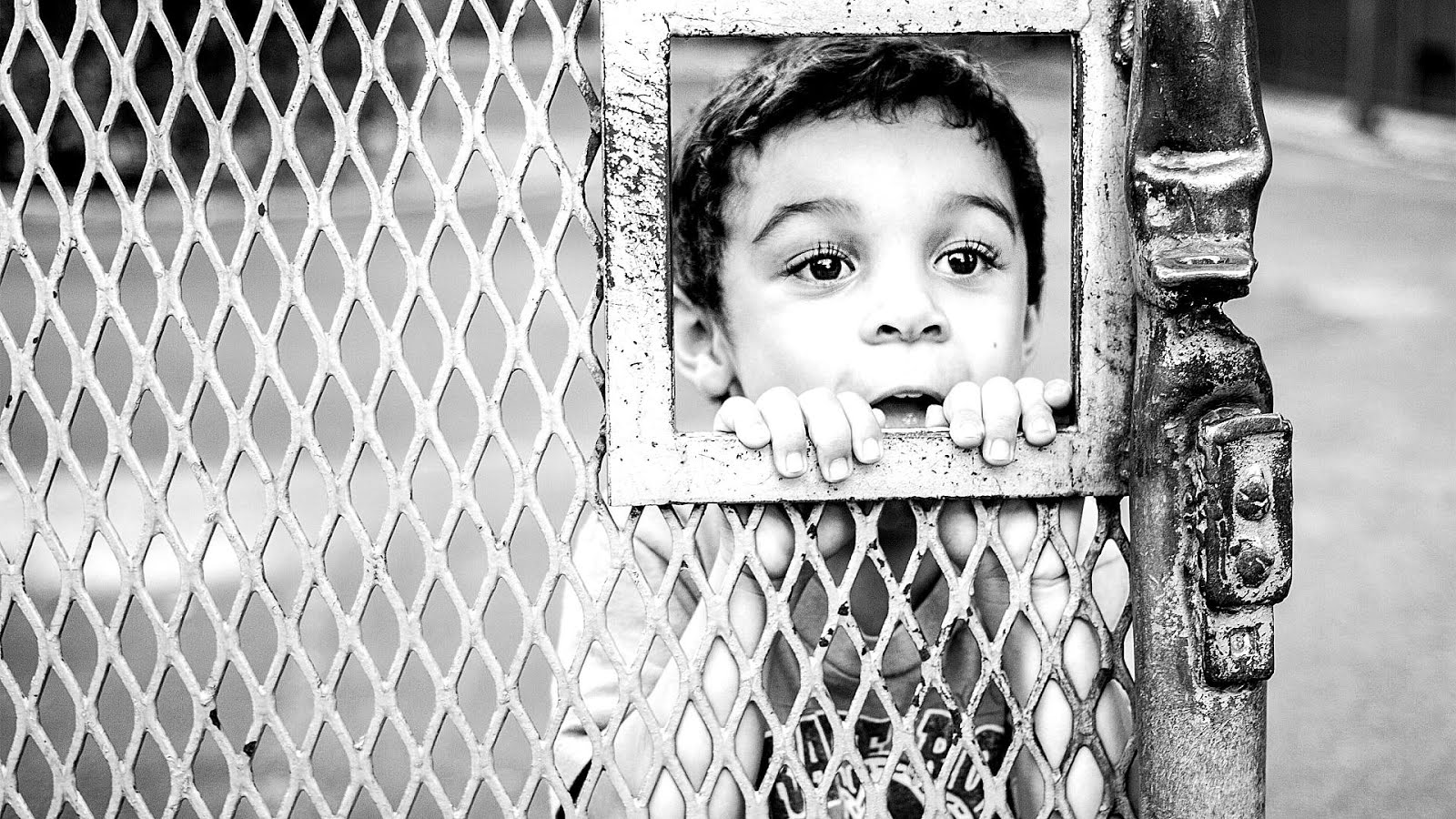 Colleges That Offer Photography Majors - Photo Choices