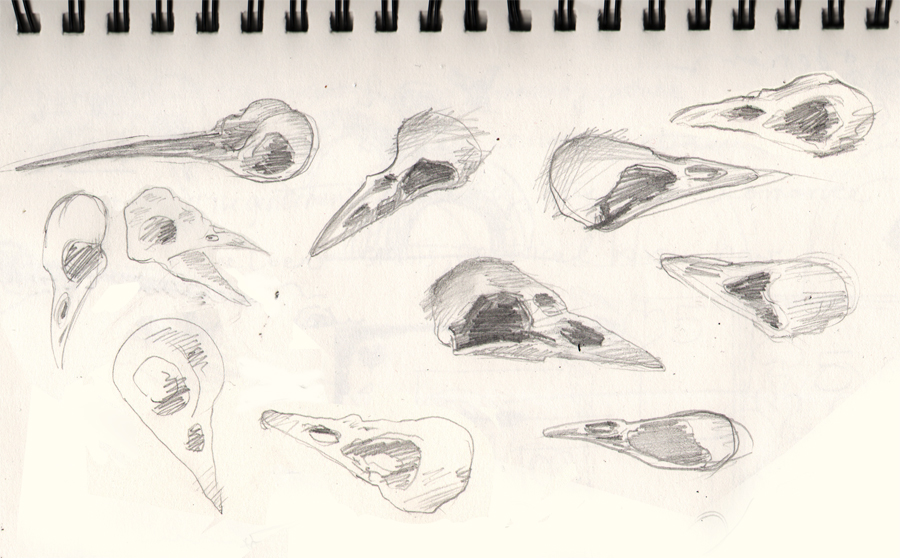 Katie Brier: Bird Bones