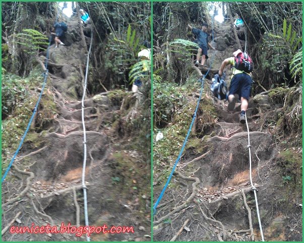 Bits and Pieces: Climbing Pine Tree Hill & Twin Peak