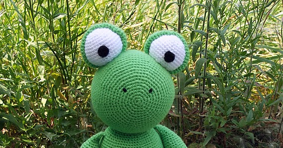 Кукляндия: Willy Frog