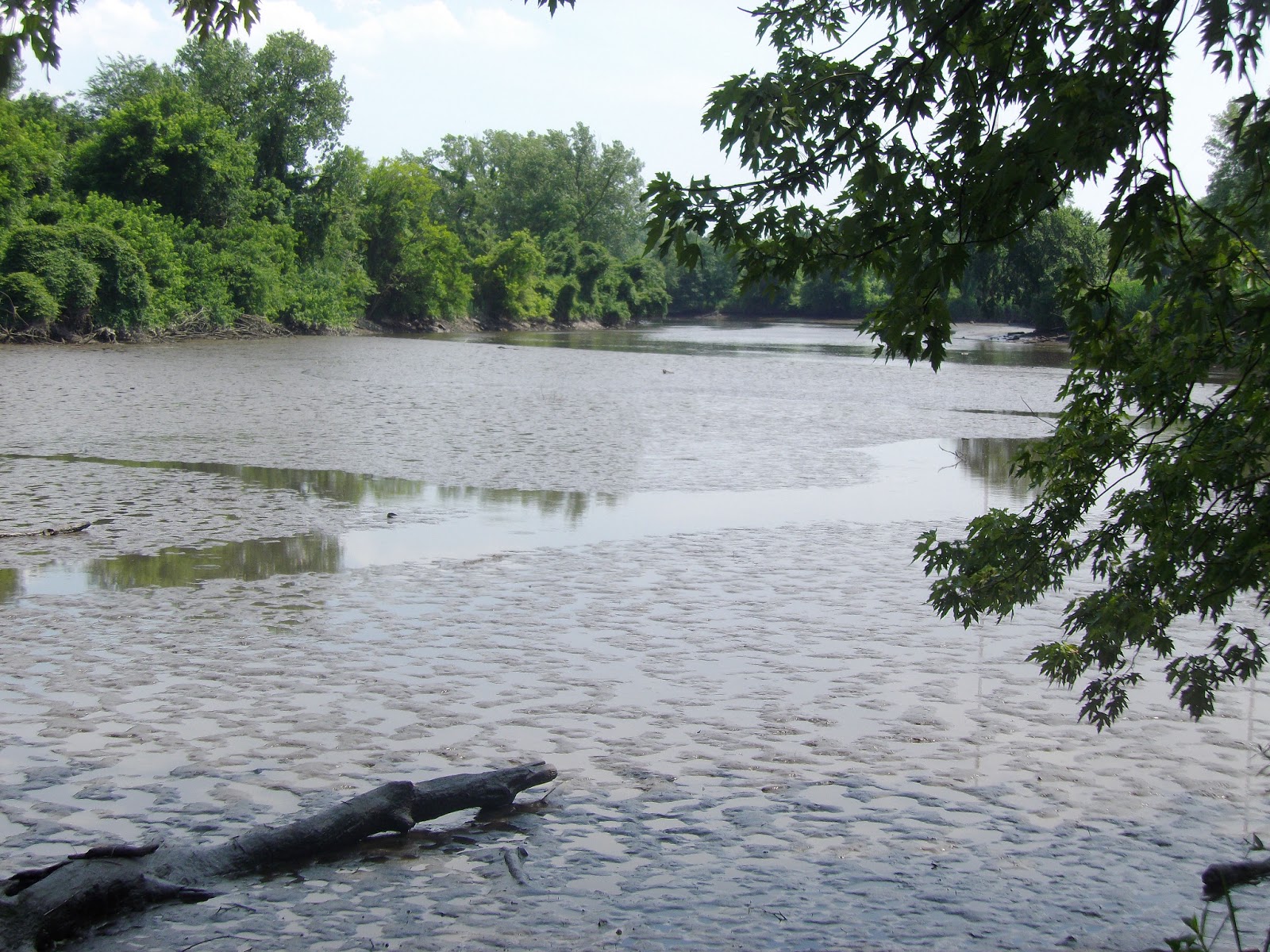 The Great Lakes of NYC: Fly Fishing the Hackensack River