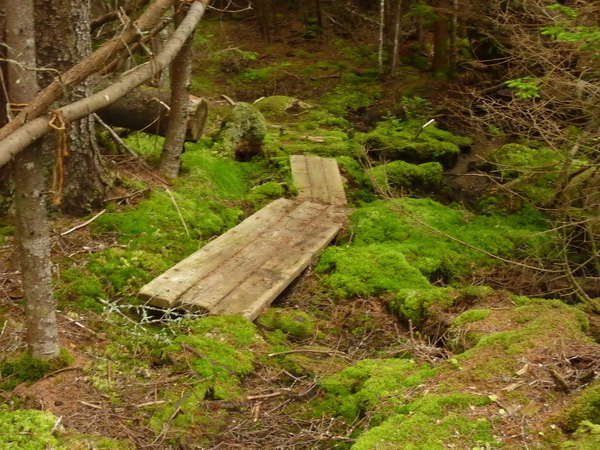 LATITUDES' JOURNEY: Buckle Island