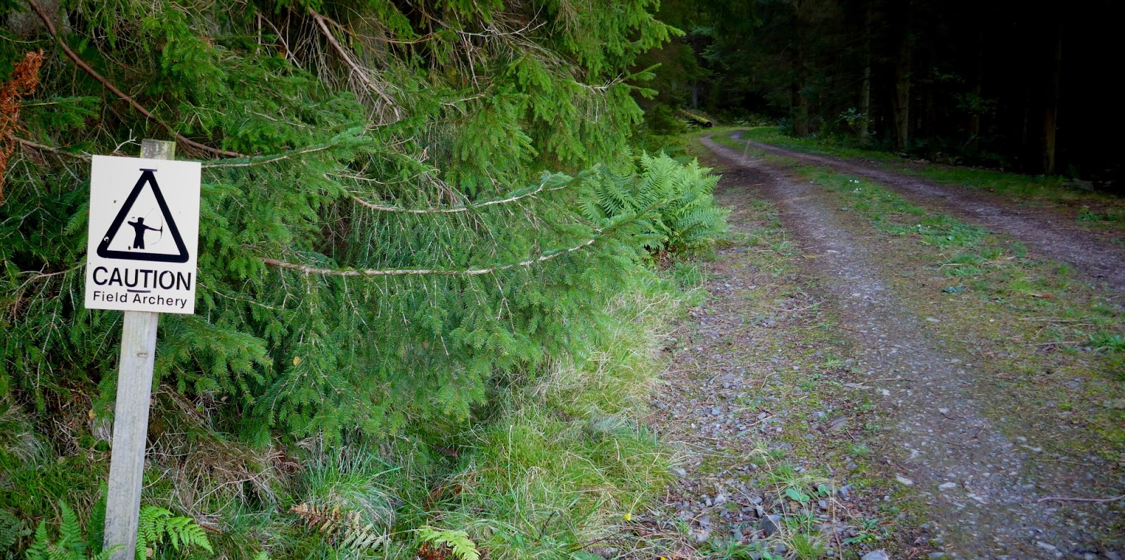 best part of the day: Tweed Valley Ultra Recce and Oct TB