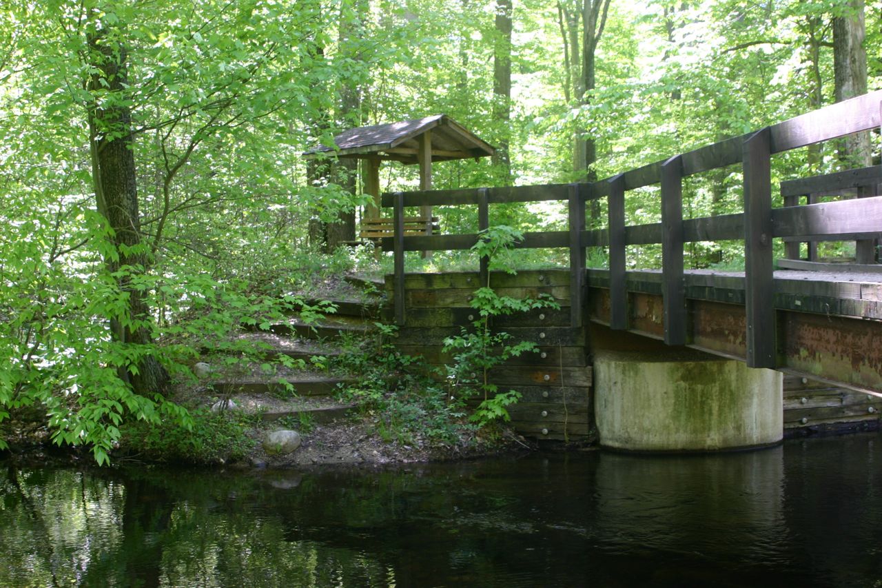 Kalamazoo Seasons: Russ Forest