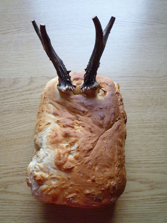 Sue Beveridge's Blog