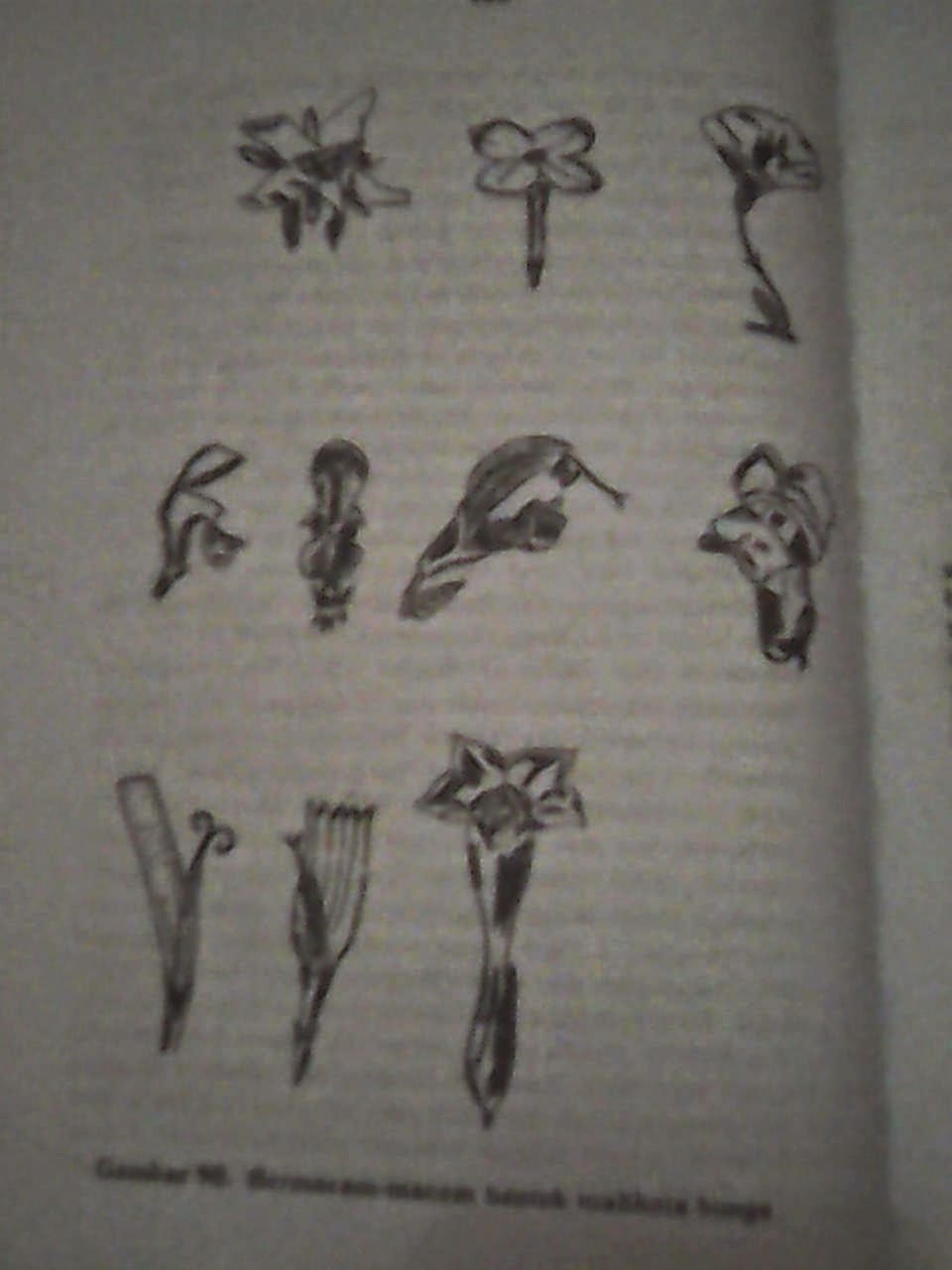 Morfologi Tumbuhan: BAGIAN-BAGIAN BUNGA